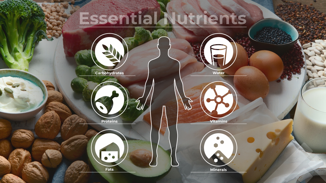 Essential Nutrients: Your Guide to a Balanced Diet | Fitpage
