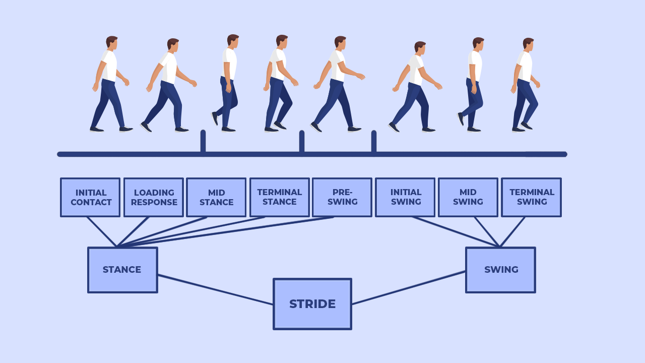 All You Need to Know About Walking Stride - Fitpage